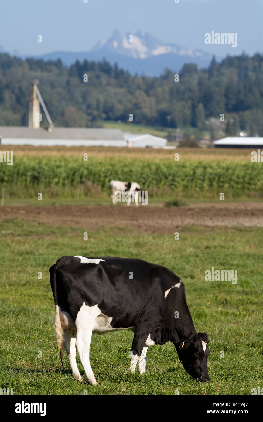 Us Corn Production High Resolution Stock Photography and Images - Alamy
