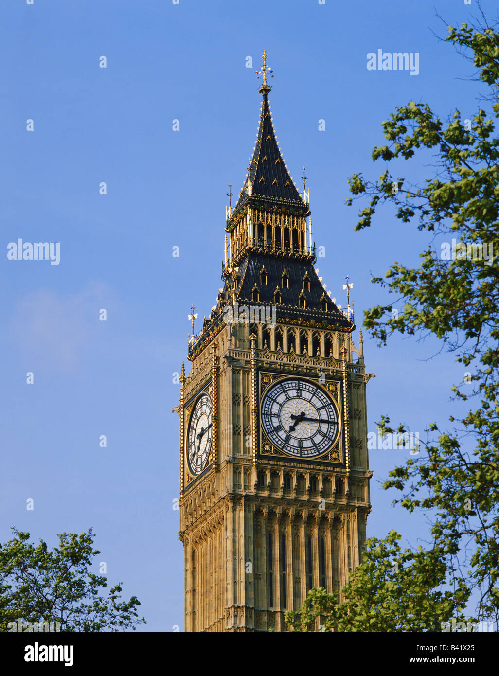 English British Symbol Gmt View Photograph Trees Leaves Day Hi res