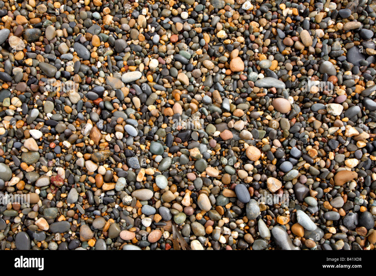 Colorful wet pebbles on Aberystwyth North beach Stock Photo - Alamy