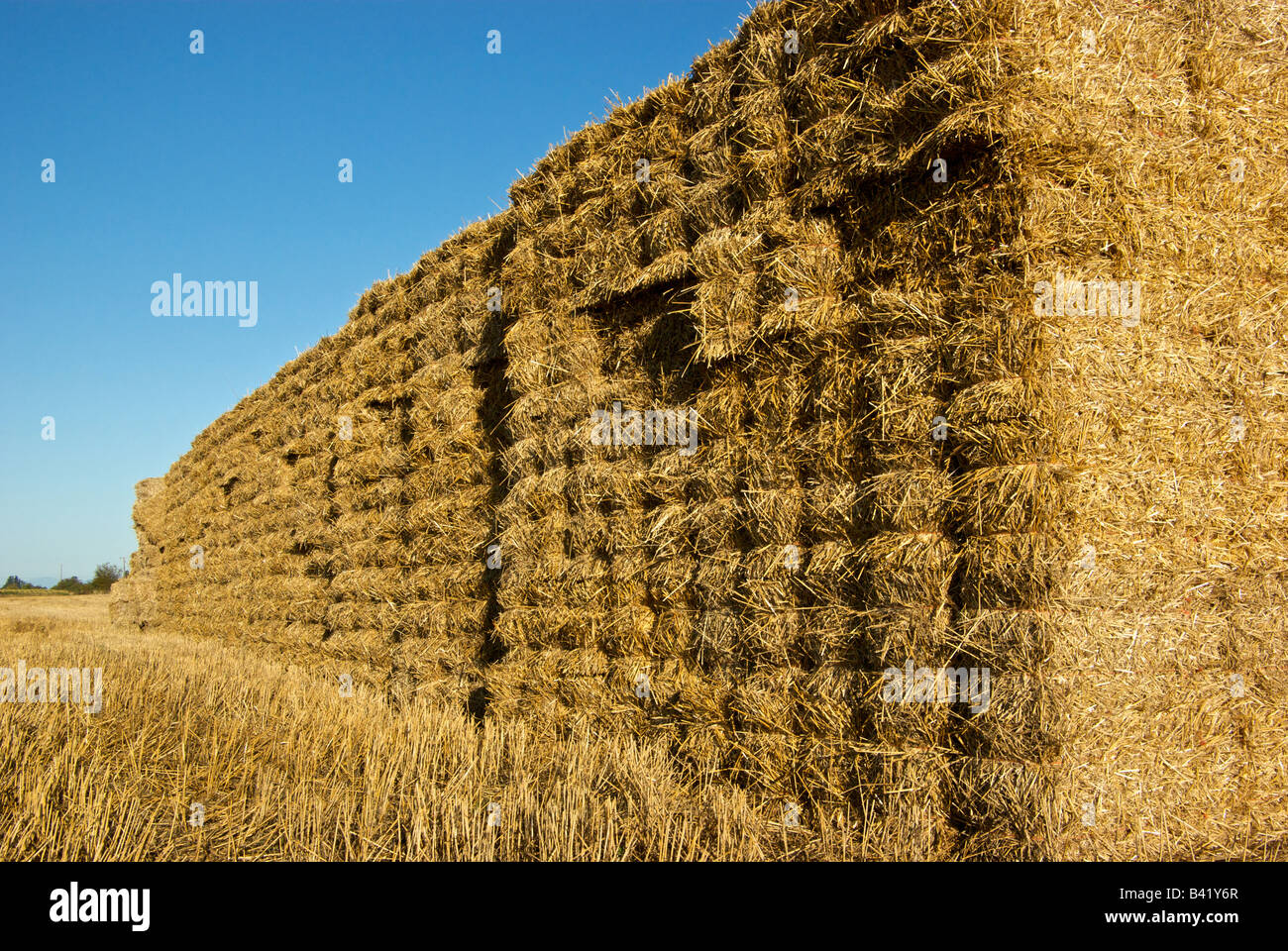 Barley bales hi-res stock photography and images - Alamy