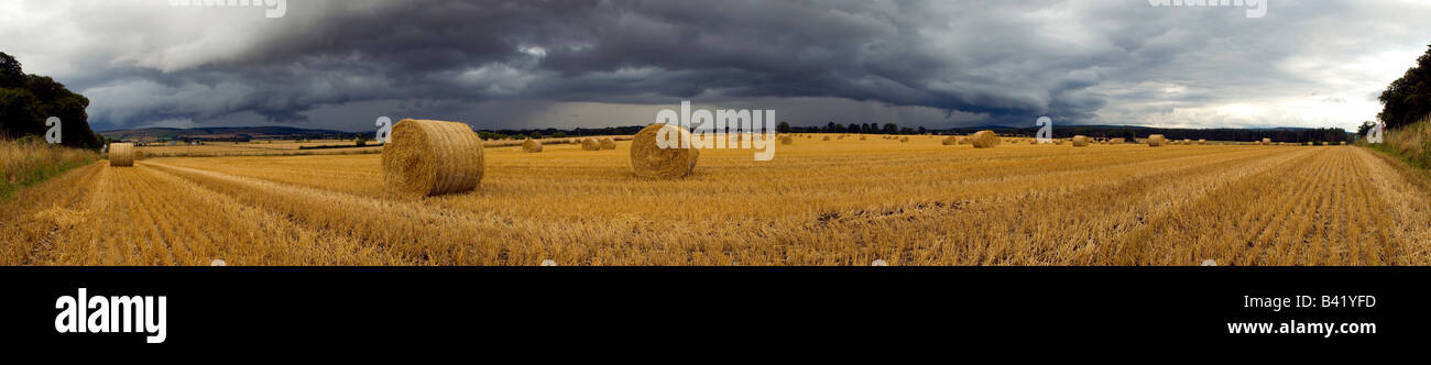 Panorama of storm threatening farmland during the harvest Stock Photo ...