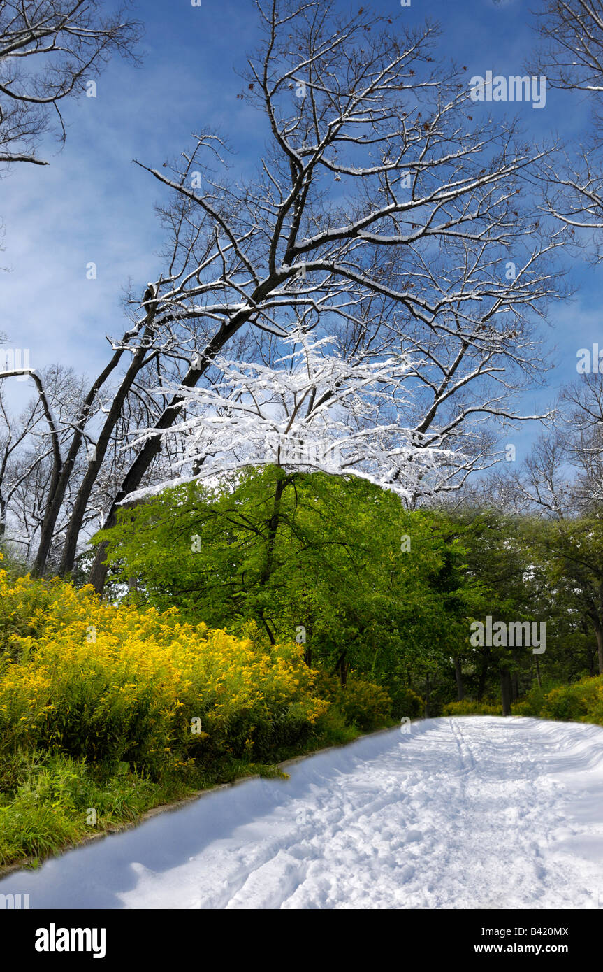 Winter and Summer Stock Photo - Alamy
