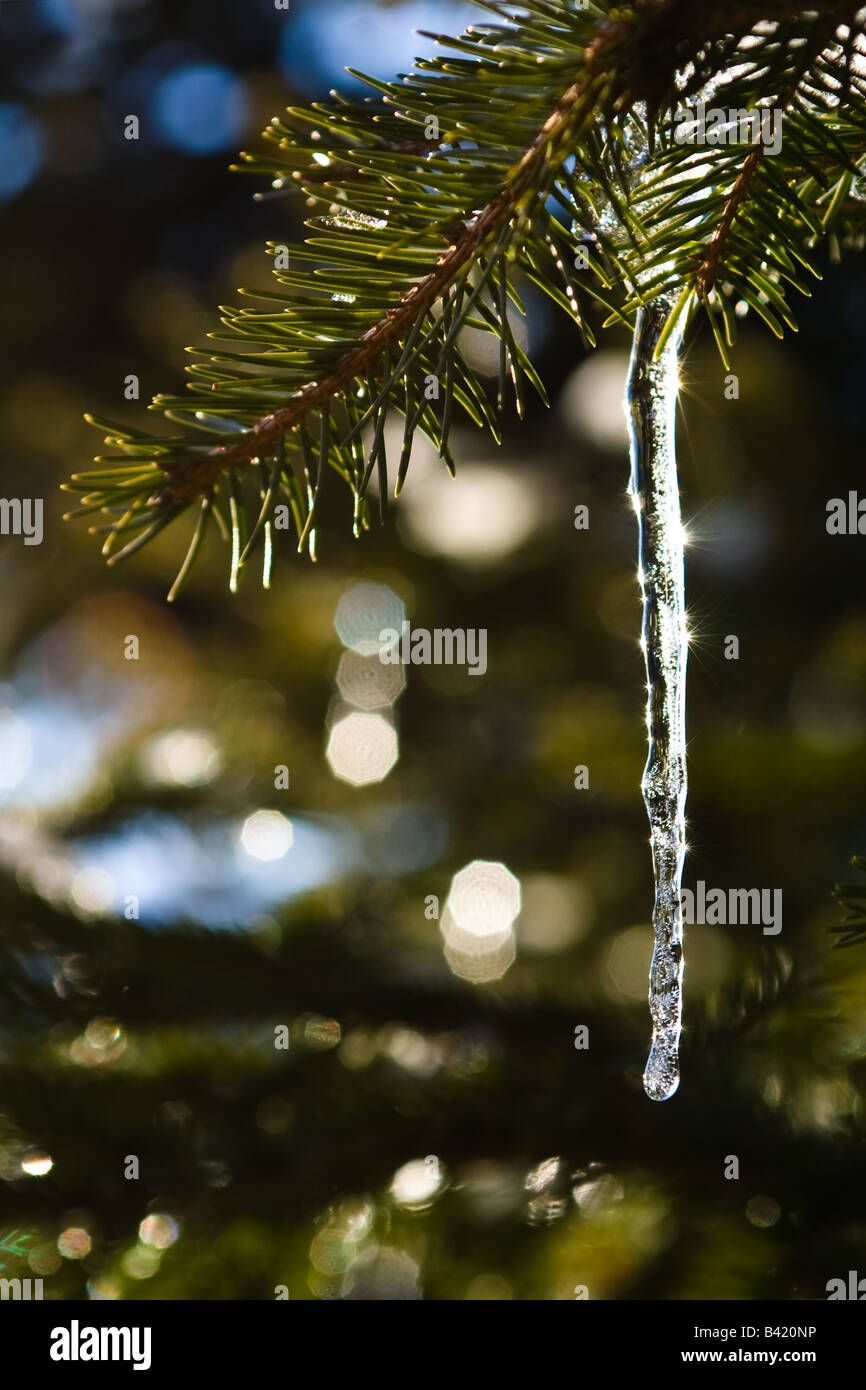Icicle sun hi-res stock photography and images - Alamy
