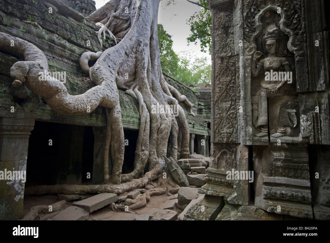 Ta Prom temple Angkor site Cambodia Stock Photo - Alamy