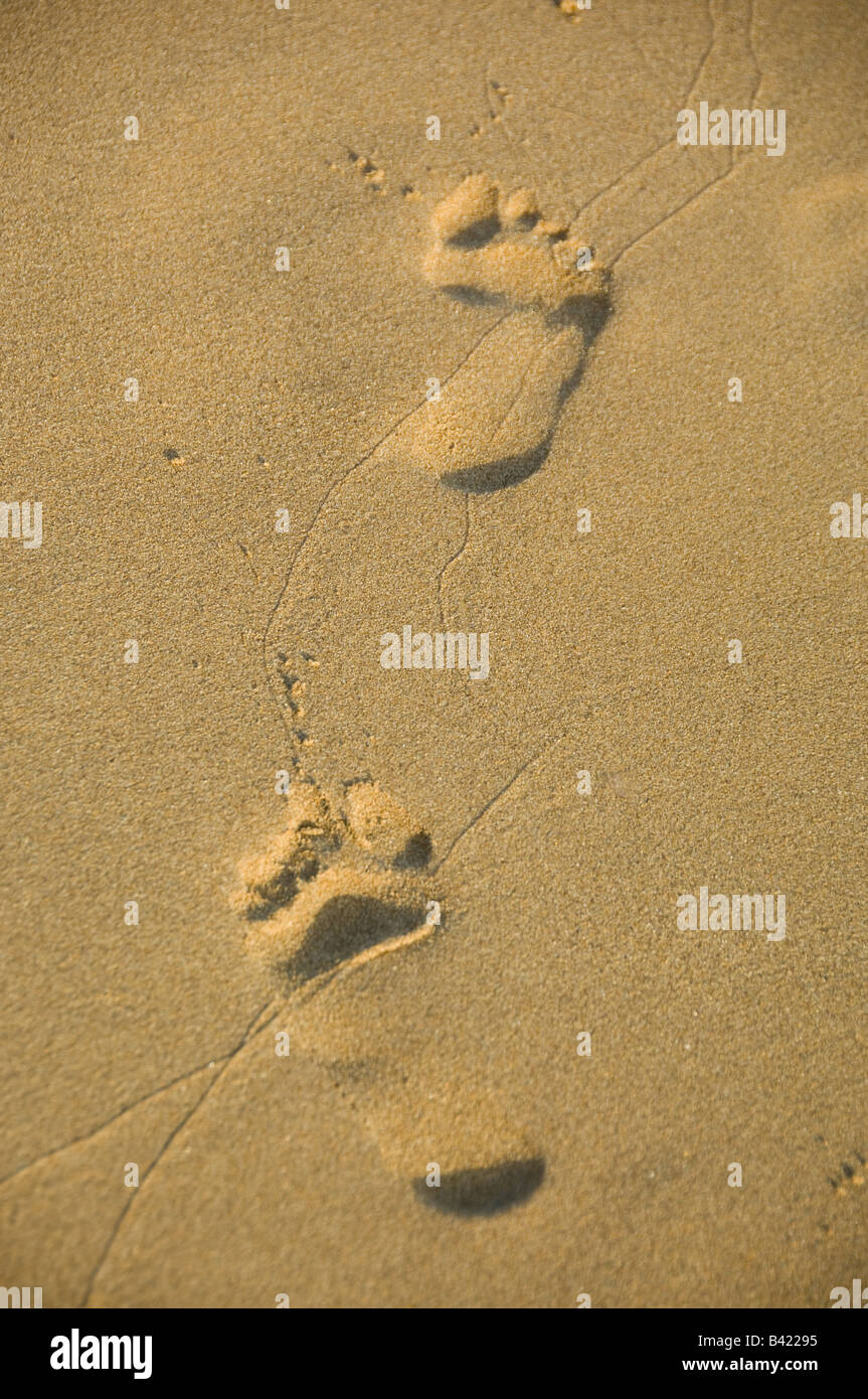 footsteps in sand Stock Photo - Alamy