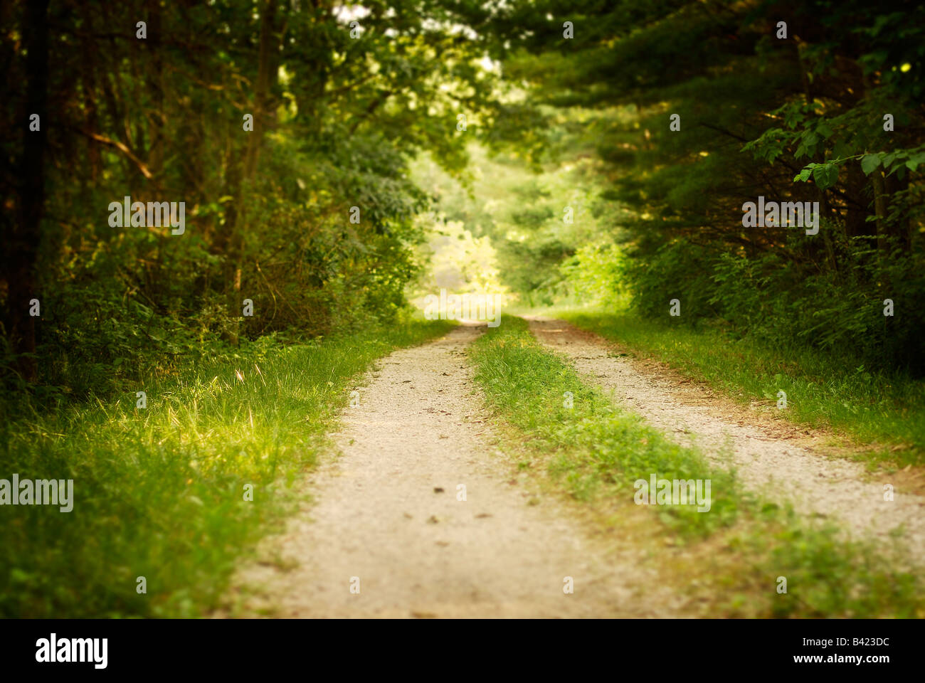 Woods lane hi-res stock photography and images - Alamy