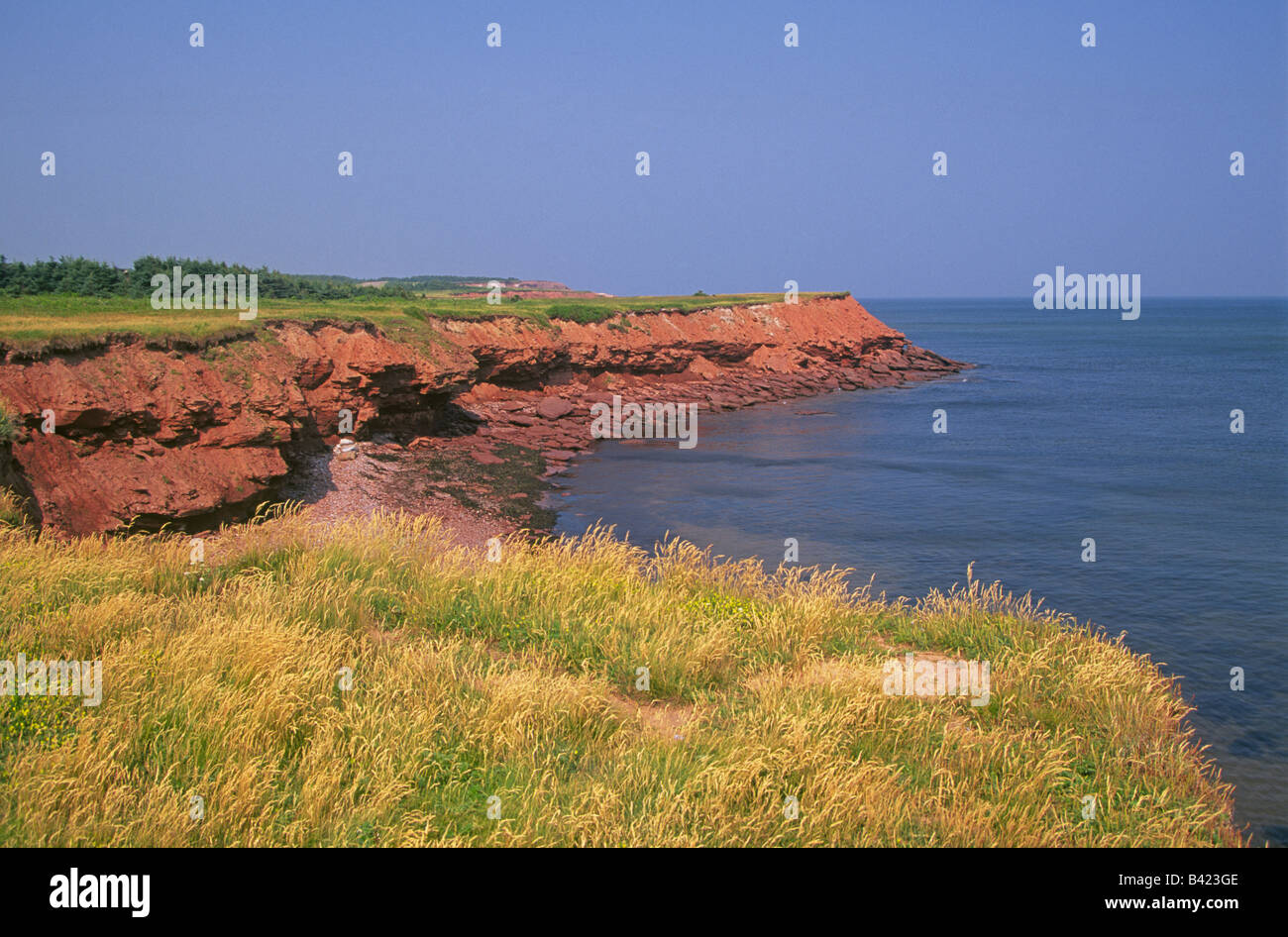 Shoreline prince edward islands hi-res stock photography and images - Alamy