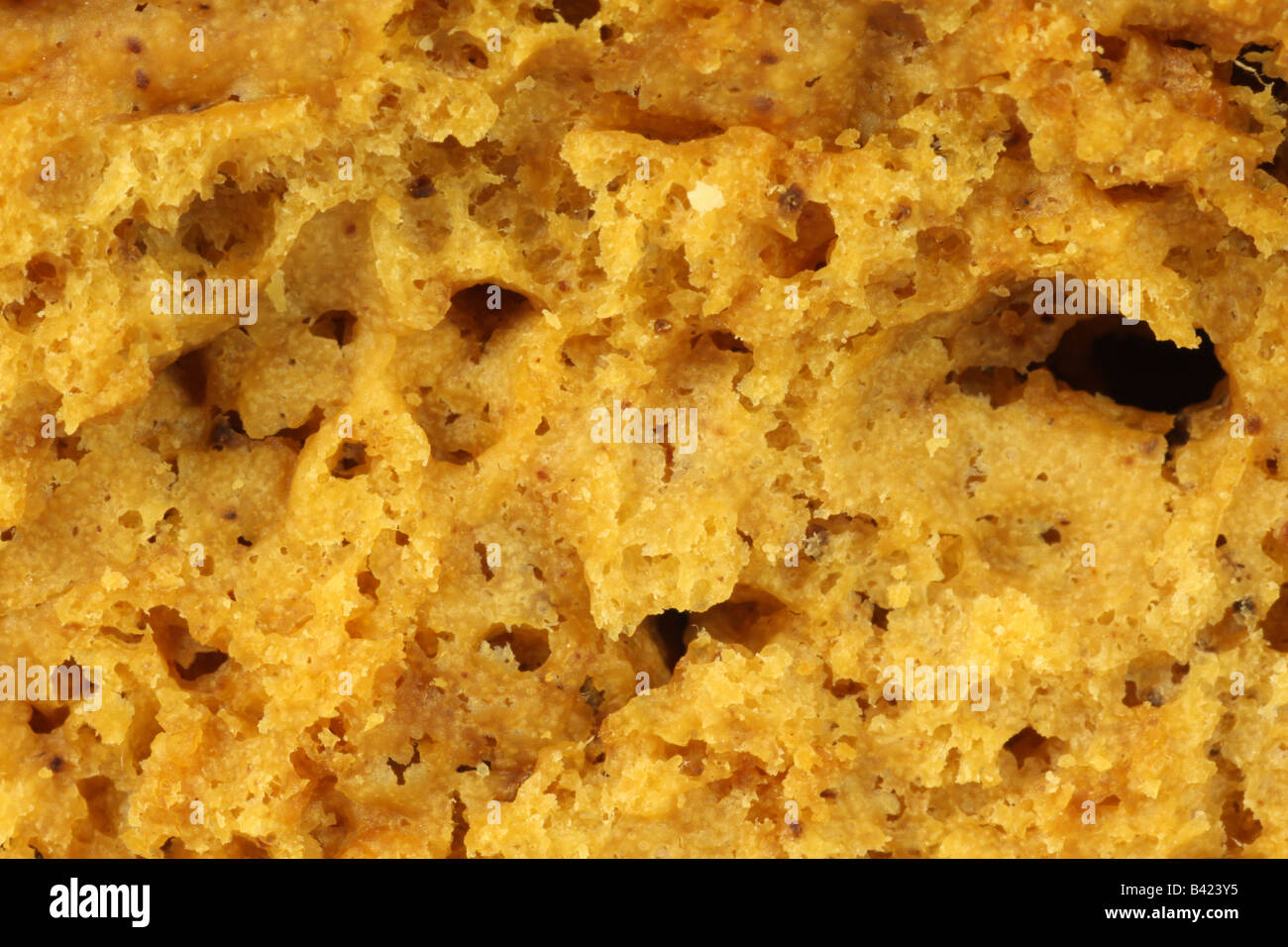 Rusk close up Stock Photo - Alamy