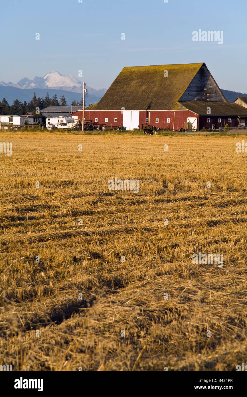 Farm Skagit County Mt Baker Cascade Mountains Washington USA Stock ...