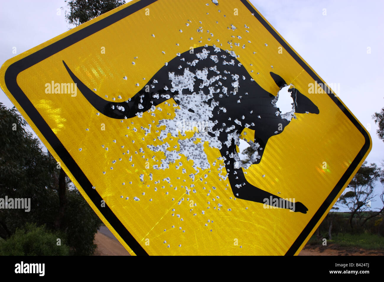 Kangaroo warning sign at roadside hi-res stock photography and images ...
