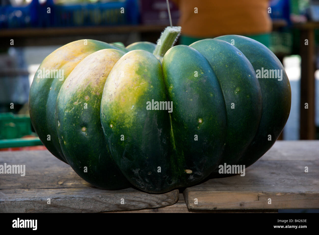 A large green squash sits on a shelf waiting to be sold at the saturday ...