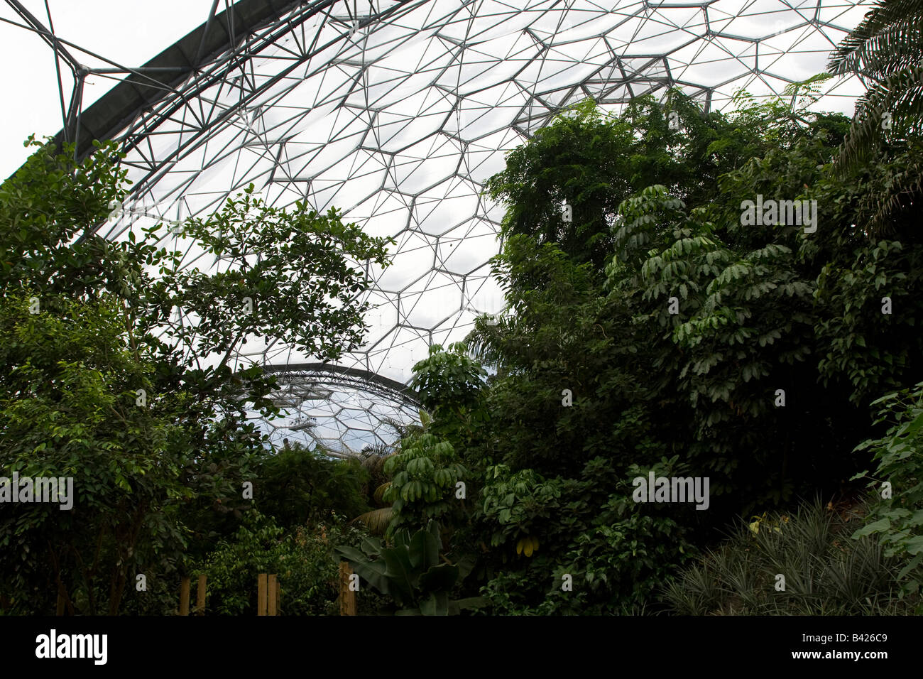 The tropical biomes at the Eden Project, Cornwall Stock Photo - Alamy