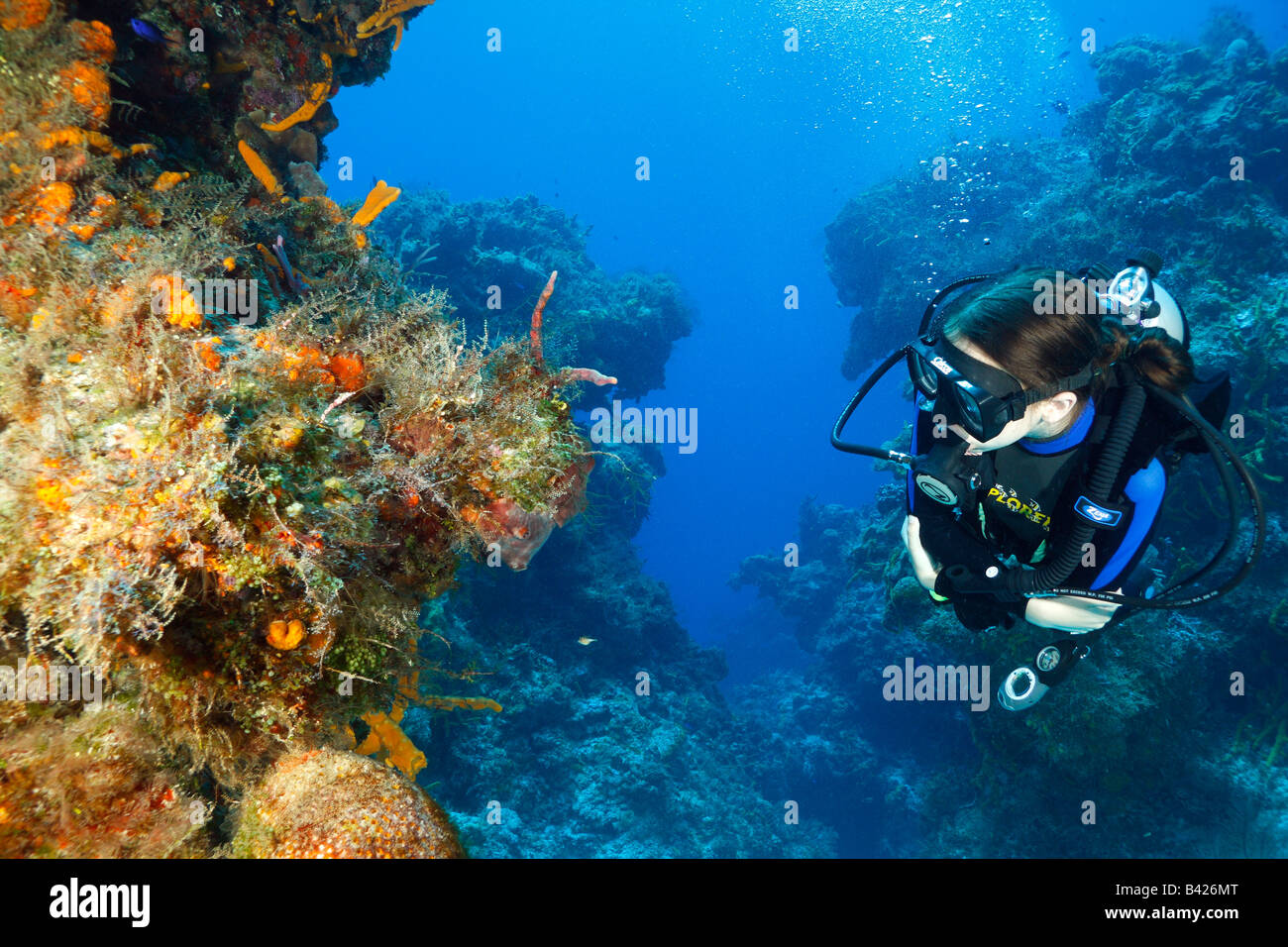 Girl scuba diver caribbean reef hi-res stock photography and images - Alamy