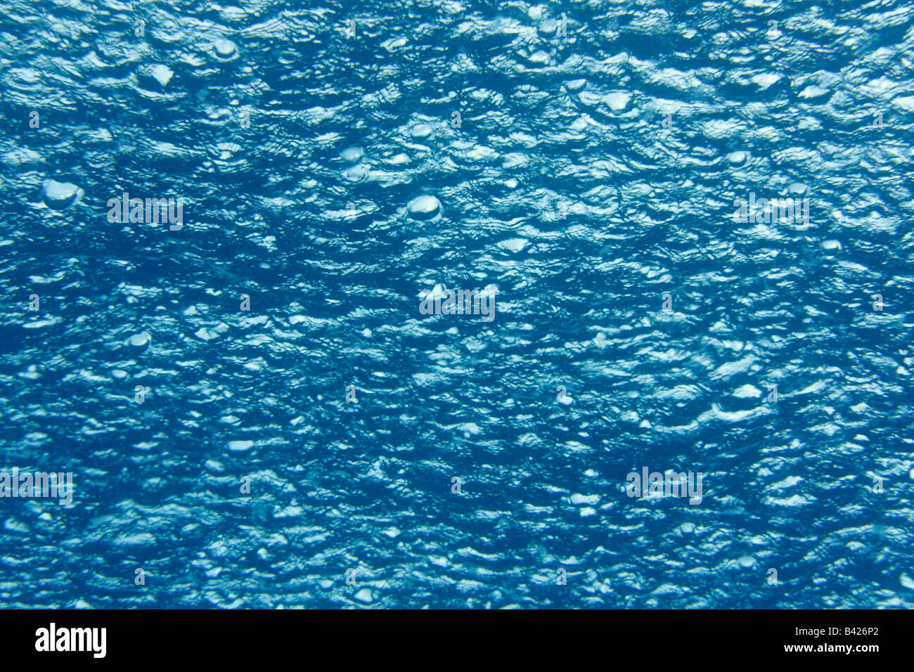 An underwater view of an ocean water surface pounded by heavy tropical ...