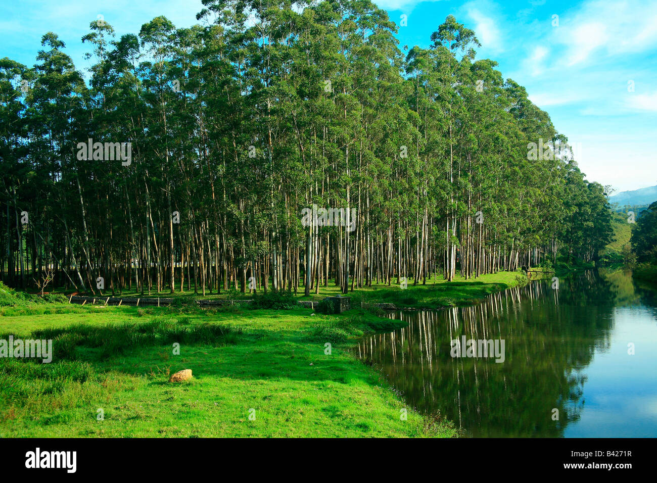 A panoramic view of Munnar,Kerala,india Stock Photo - Alamy