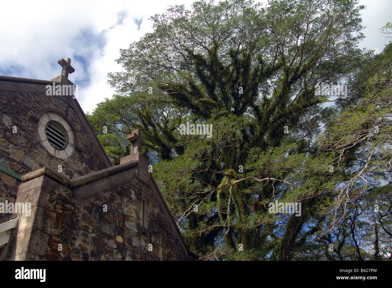 Mossman town queensland australia hi-res stock photography and images ...