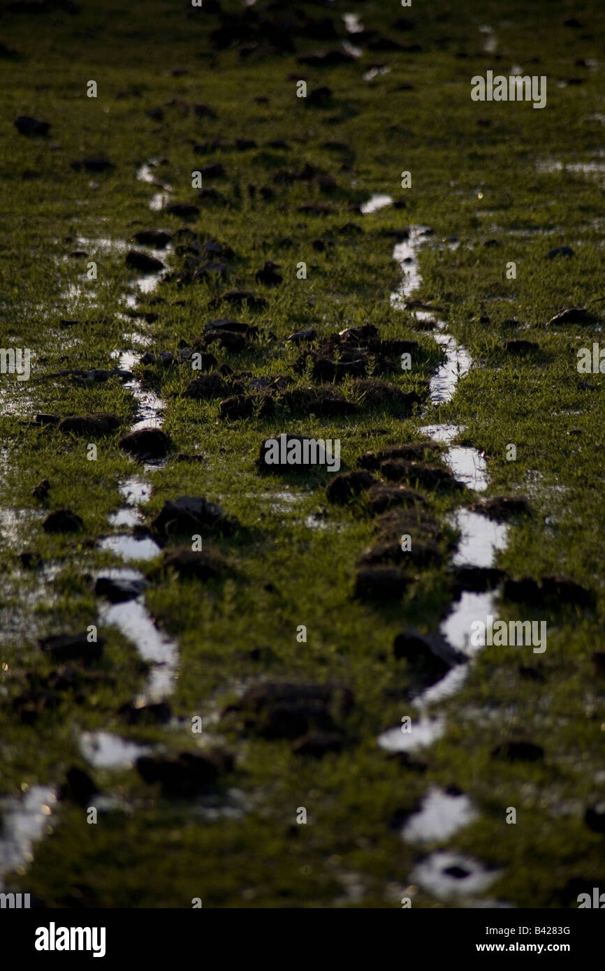 Hand dug irrigation ditches Stock Photo - Alamy