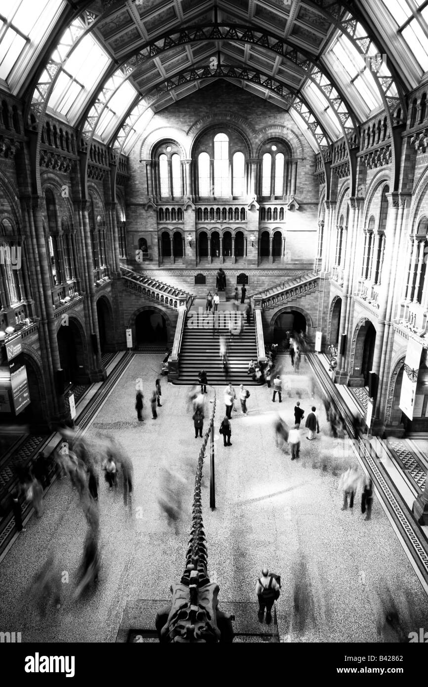 Iconic natural history museum Black and White Stock Photos & Images - Alamy