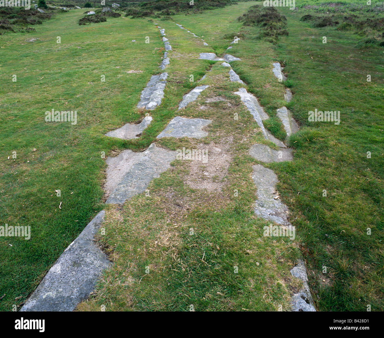 Trackwork remains and point of the Haytor Granite Tramway in Dartmoor ...