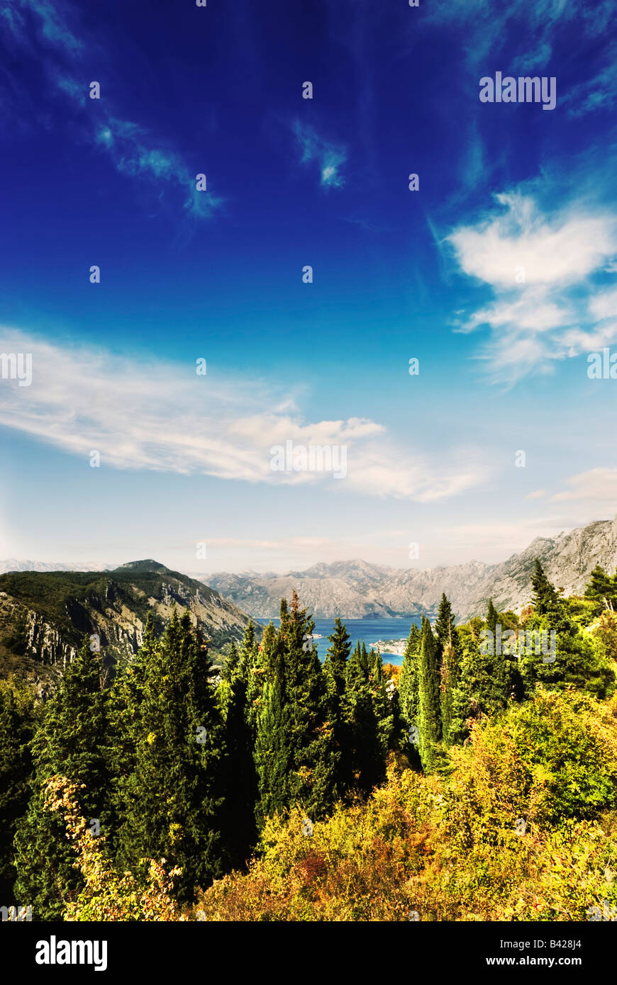 Pine forest overlooking the Bay of Kotor, Montenegro Stock Photo - Alamy