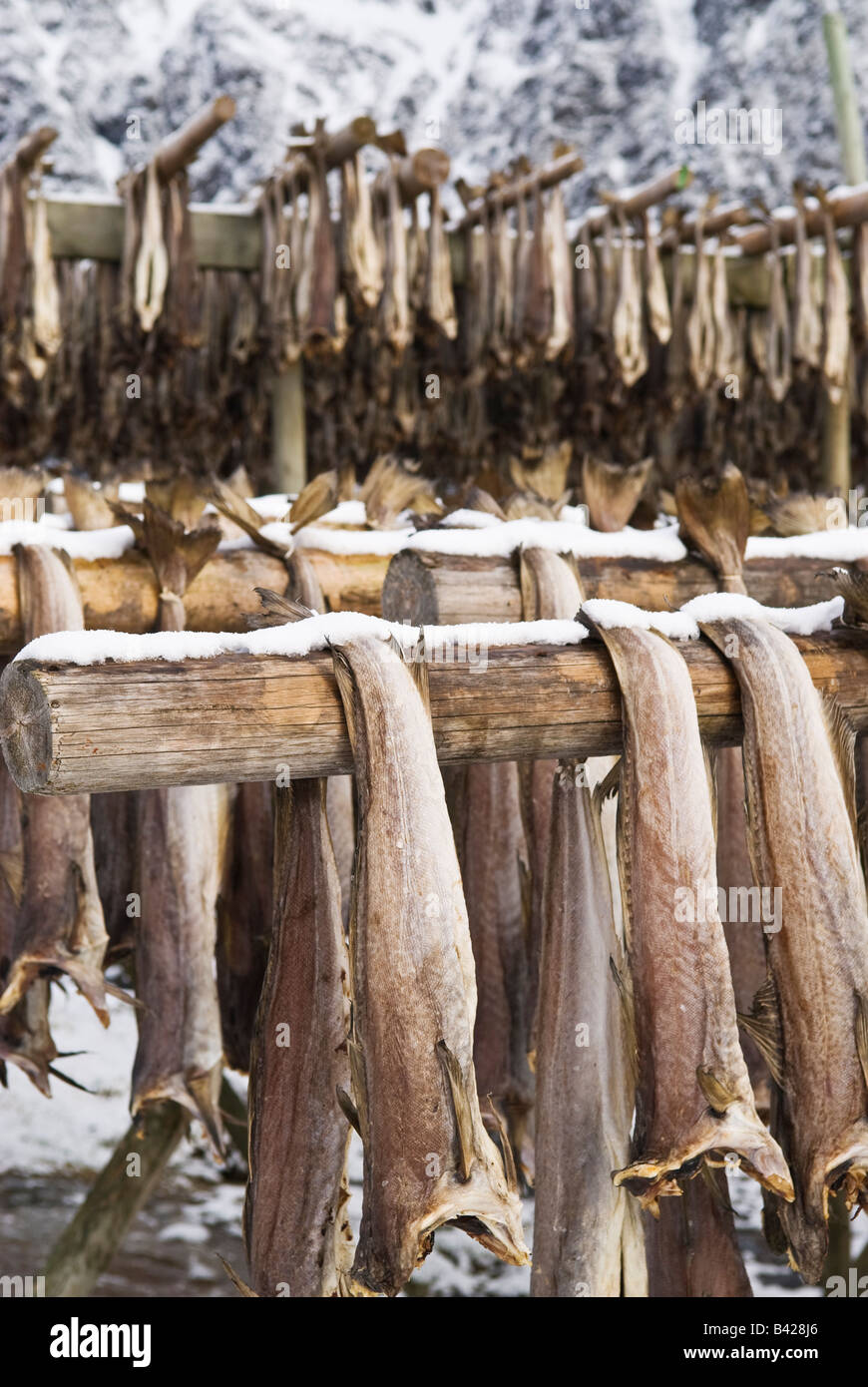 Drying fisk hi-res stock photography and images - Alamy