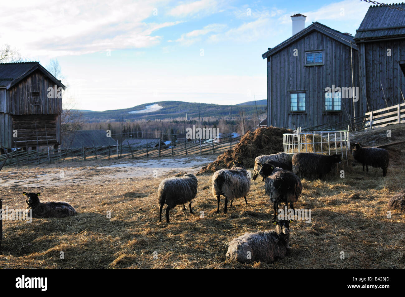 Old farm in Sweden Stock Photo - Alamy