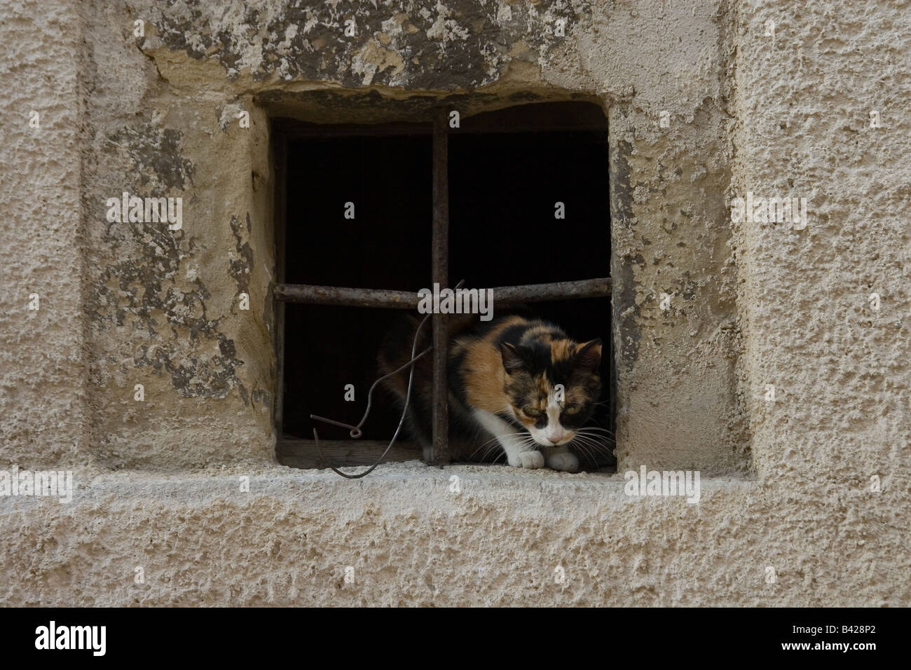 Window opening bars in hi-res stock photography and images - Alamy