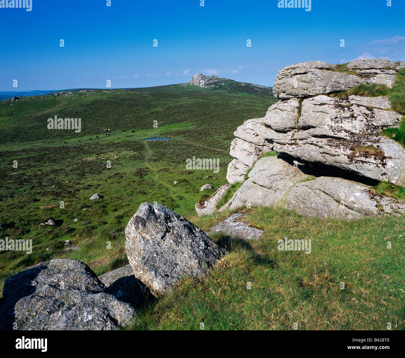 Saddle tor to haytor hi-res stock photography and images - Alamy