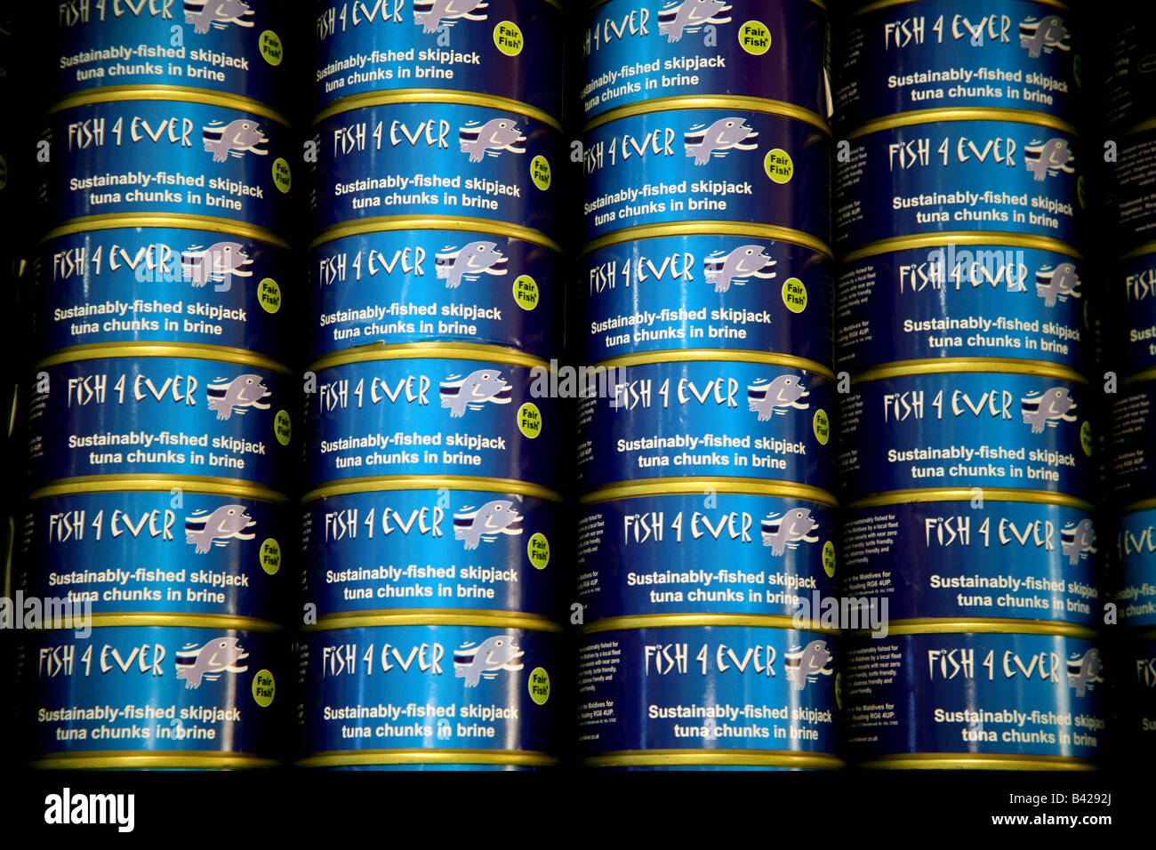 Cans of sustainably fished tuna displayed in Planet Organic shop ...