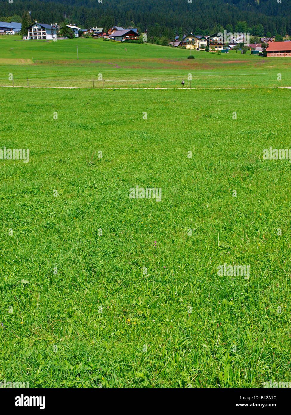 Gosau hi-res stock photography and images - Alamy