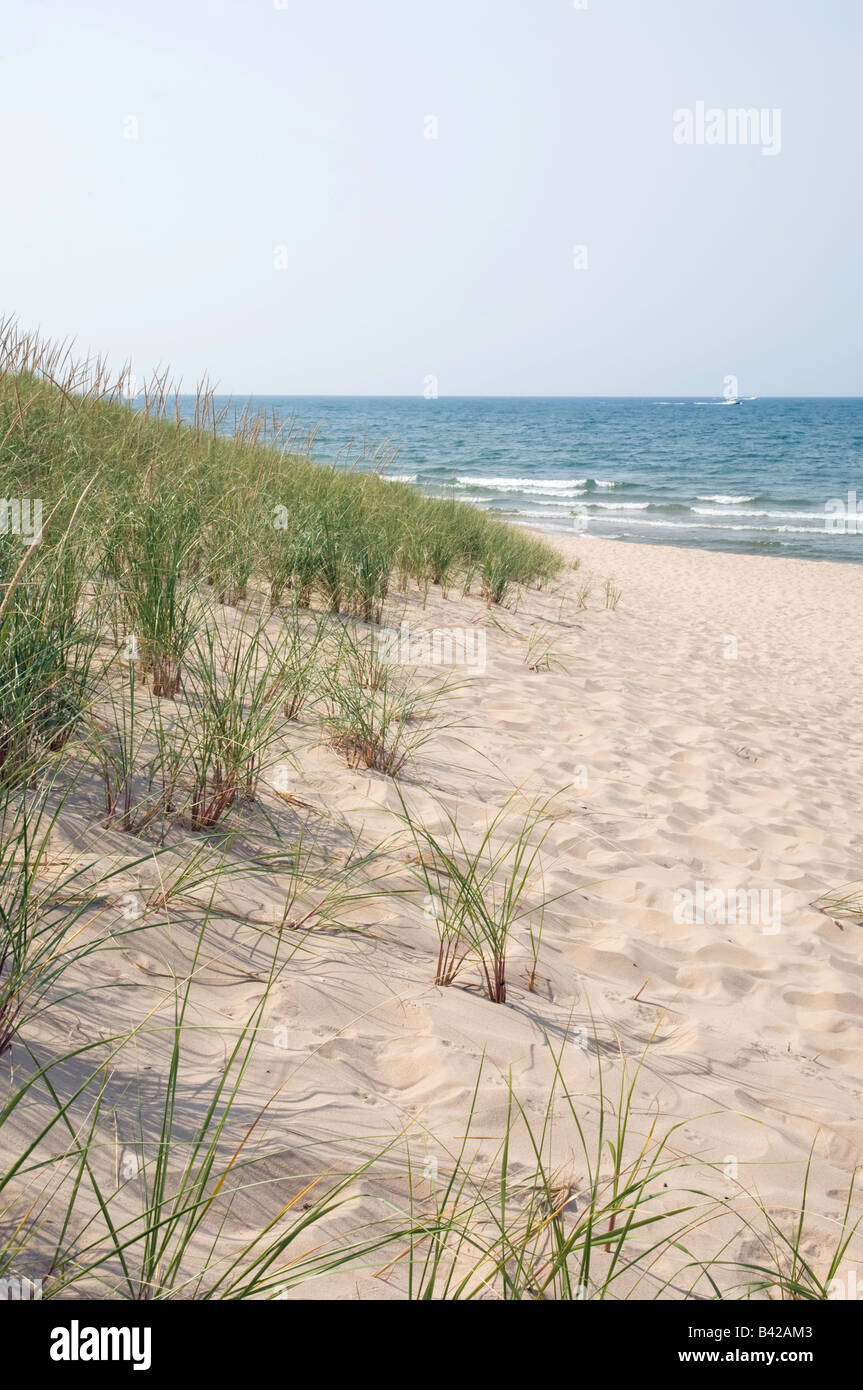 Dune meets beach along Lake Michigan Stock Photo - Alamy