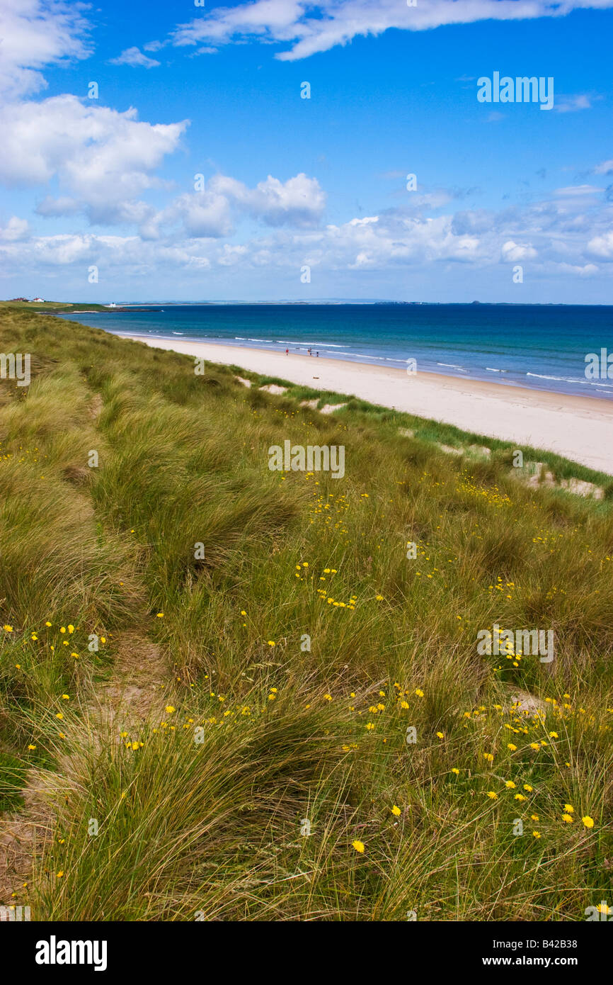 Colorful colourful scenic beach bamburgh hi-res stock photography and ...