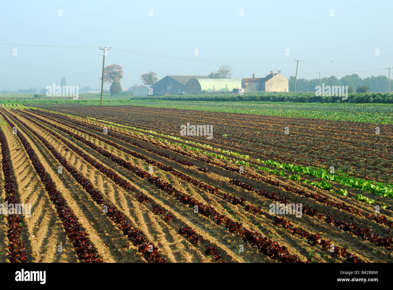 Fenlands hi-res stock photography and images - Alamy