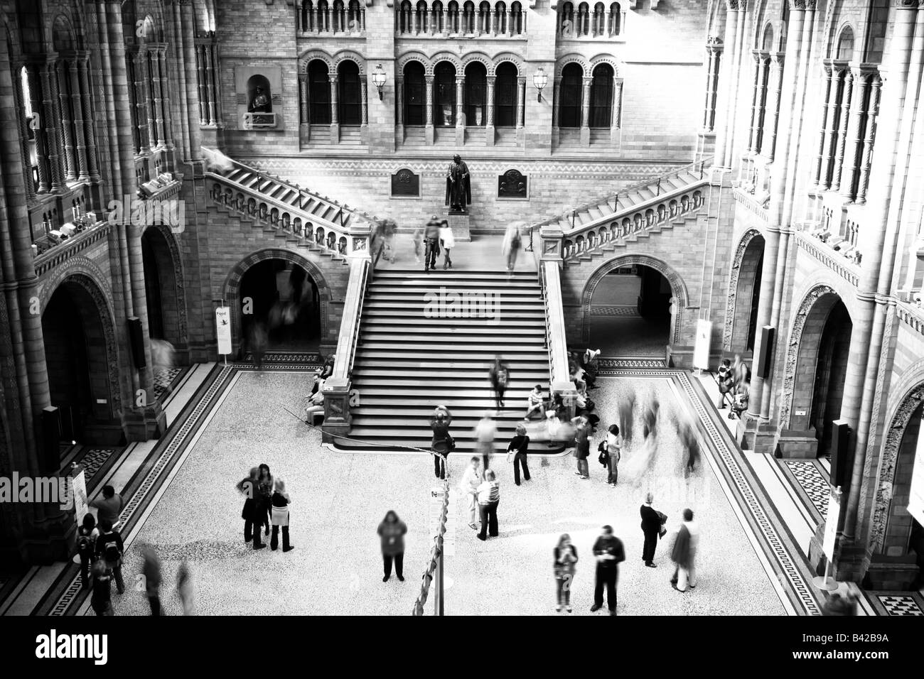 Natural history museum in black and white Stock Photo - Alamy