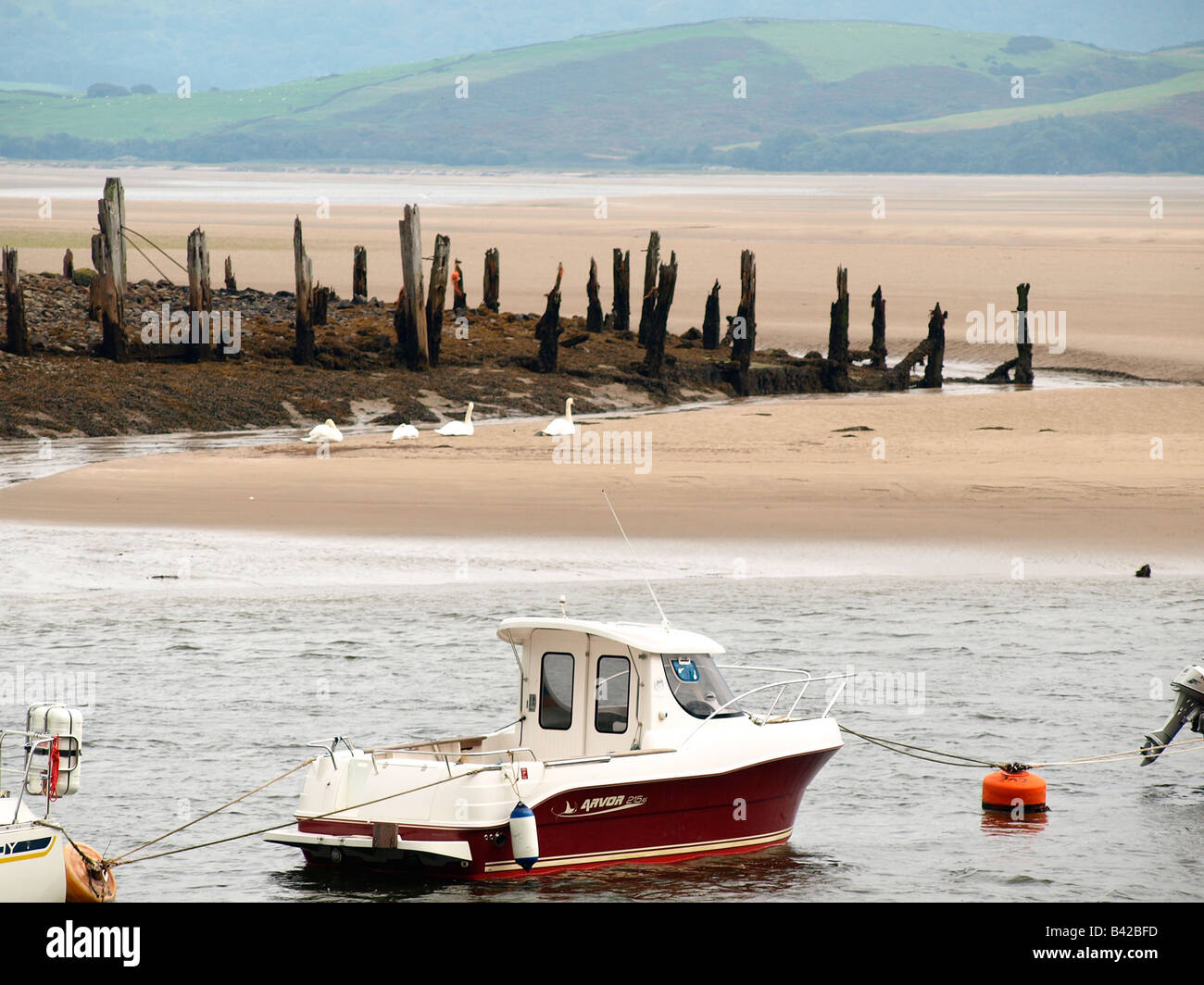 An old jetty,with swans and boats in the estuary at Porthmadog,Wales,uk ...