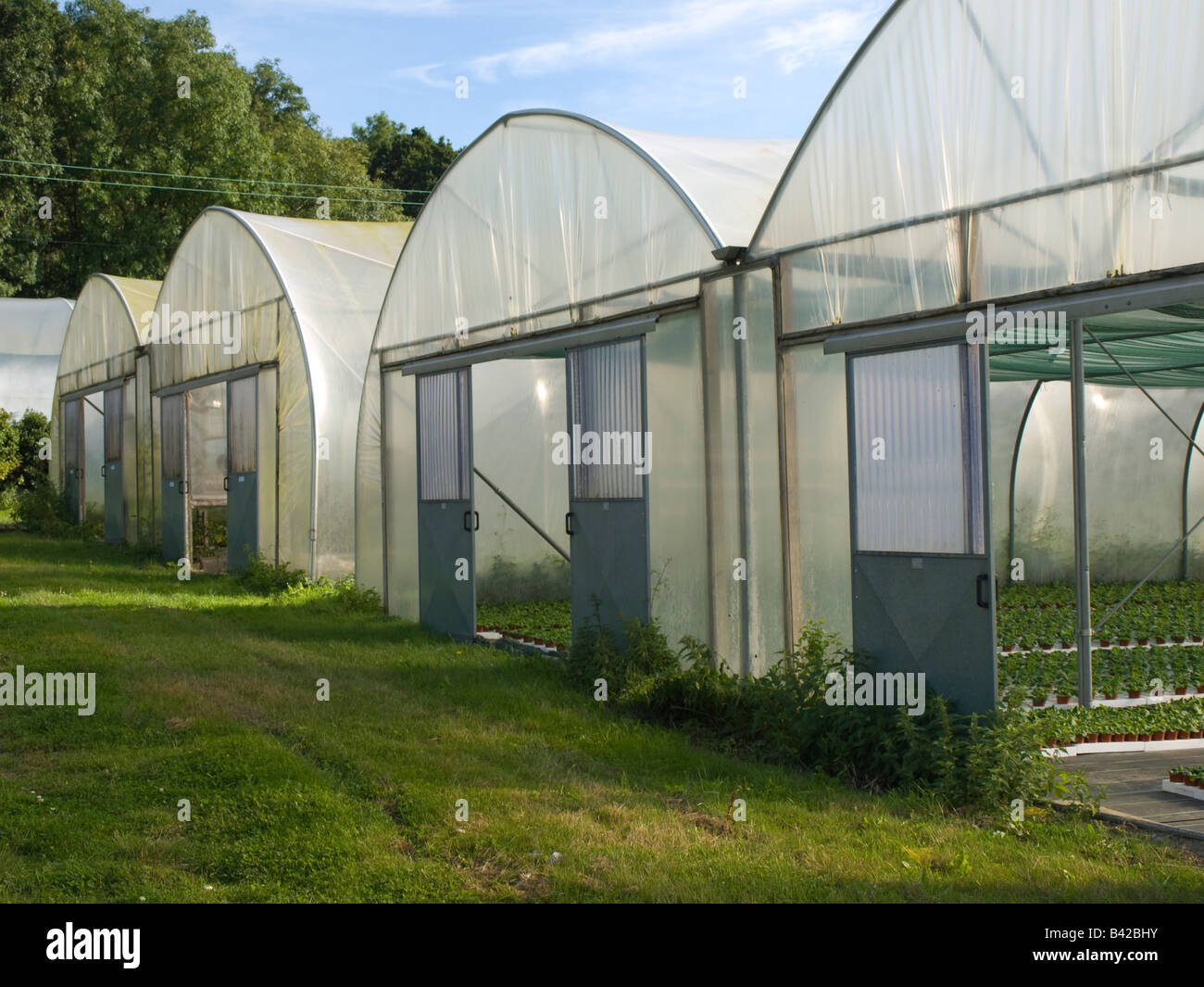 Greenhouses of vegetable crops hi-res stock photography and images - Alamy