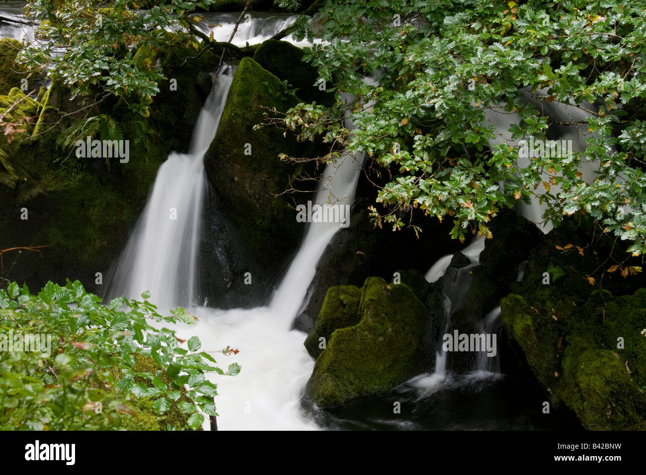 Waterfalls near Colwith Falls, Lake District, Cumbria Stock Photo - Alamy