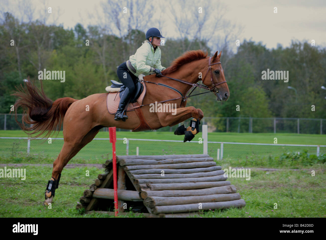 Showjumping upright fence jump hi-res stock photography and images - Alamy