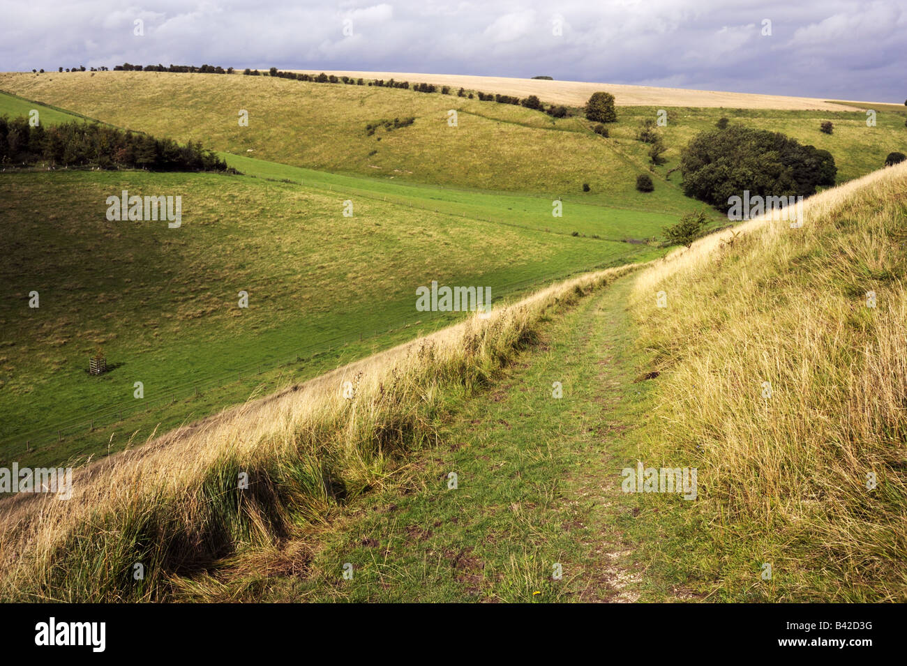 Riding horse village hi-res stock photography and images - Alamy