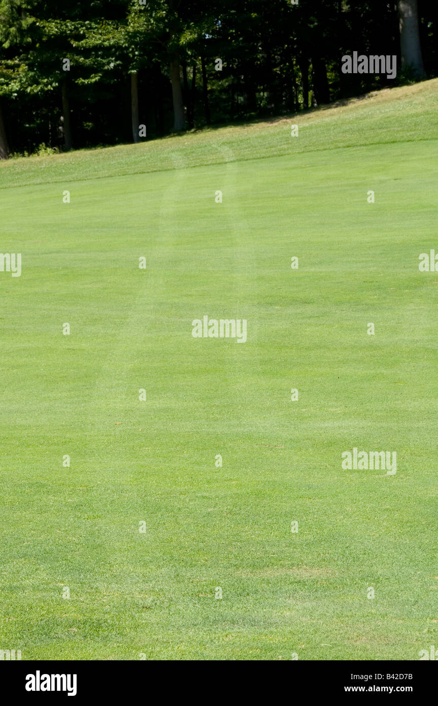 Tracks of golf cart across fairway into rough Stock Photo - Alamy