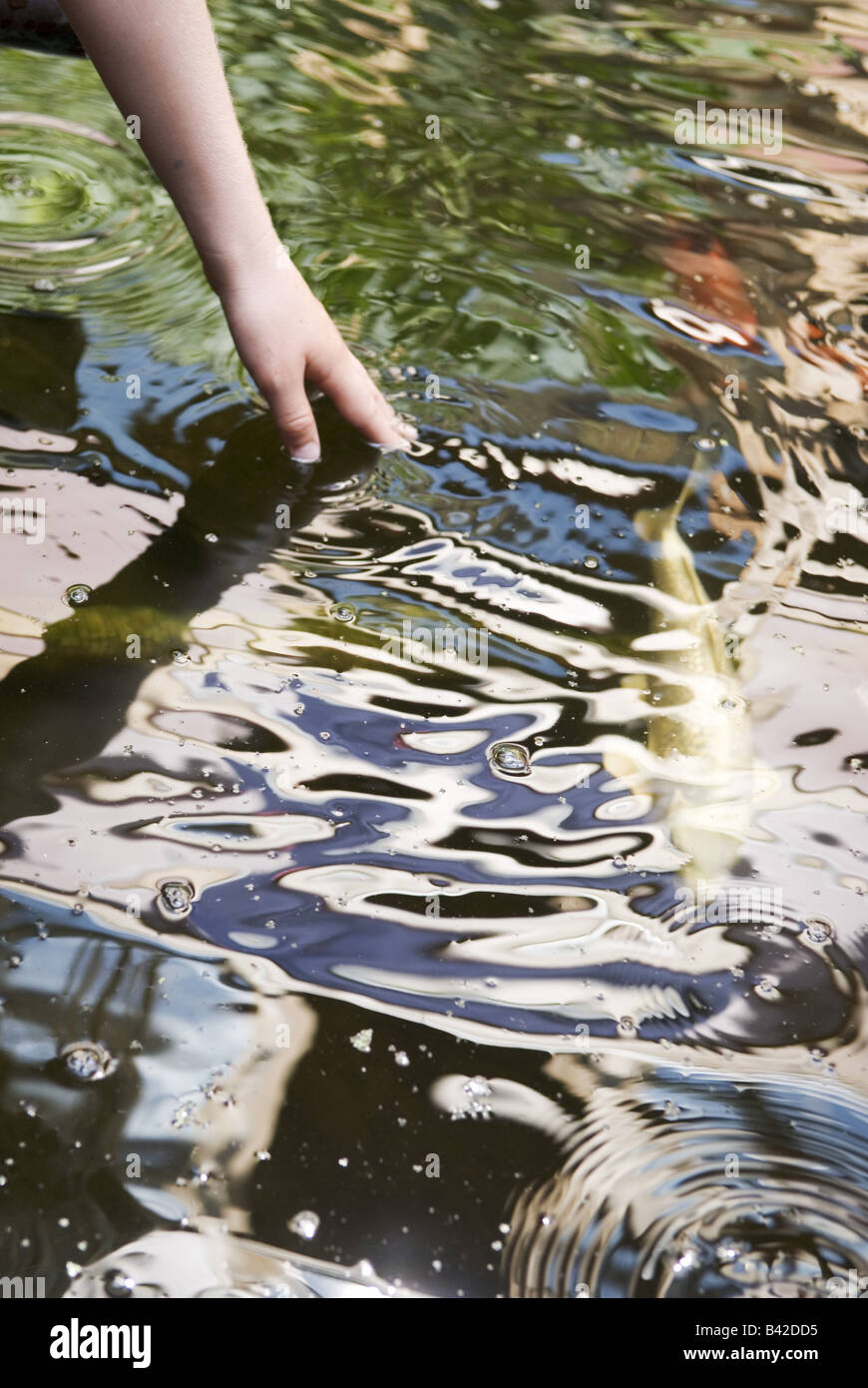 Hand Reaching Underwater High Resolution Stock Photography and Images ...