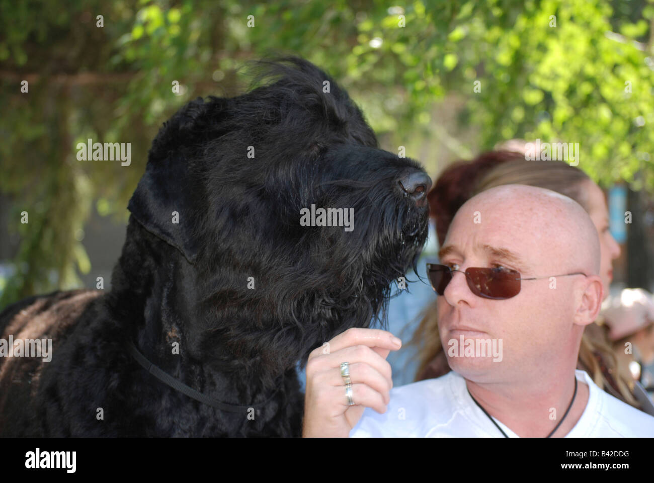 Man walking his dog bullet a black Russian terrier Model and property ...