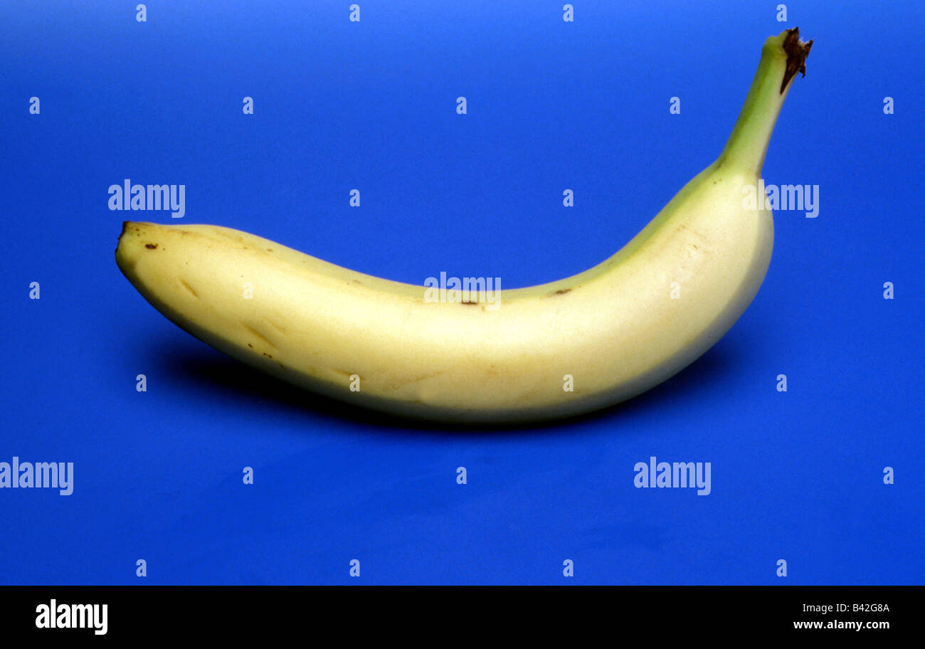 botany, banana, (Musa paradisiaca sapientum), bananas, studio shot ...