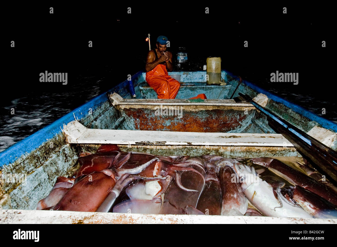 Mexican Fisherman with his Prey Jumbo Squid Humboldt Squid Hand Caught ...