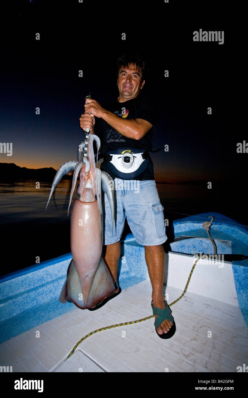 Sport Fisherman with Jumbo Humboldt Squid Hand Caught at Night ...