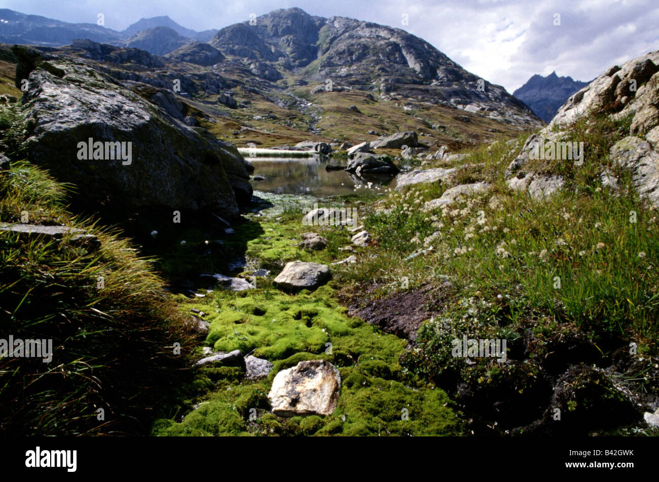 geography / travel, Switzerland, Bernese Oberland, landscape ...