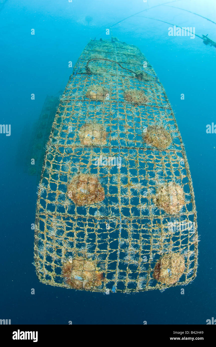 Mussel farm hi-res stock photography and images - Alamy