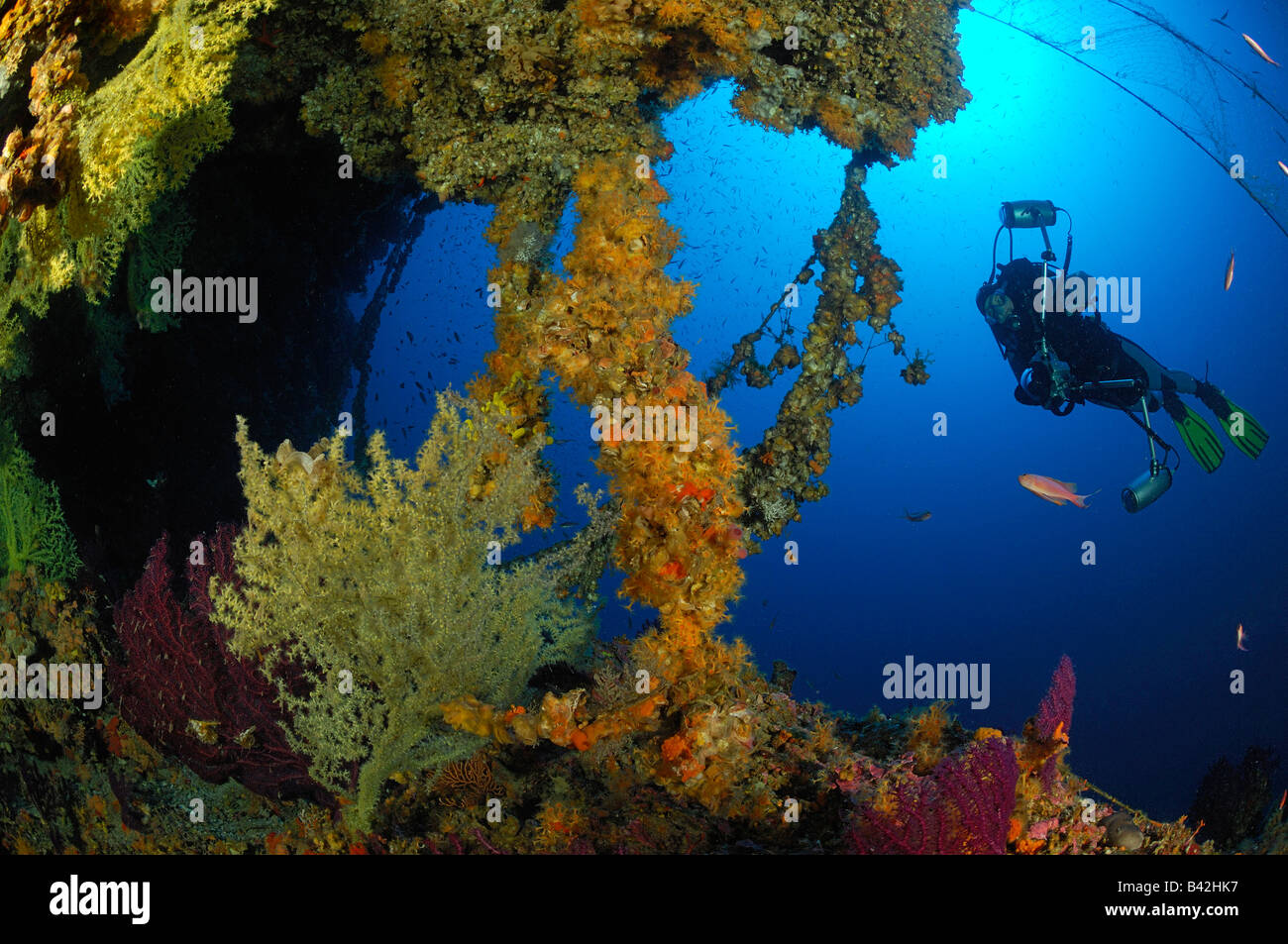 Reef Overhang High Resolution Stock Photography and Images - Alamy