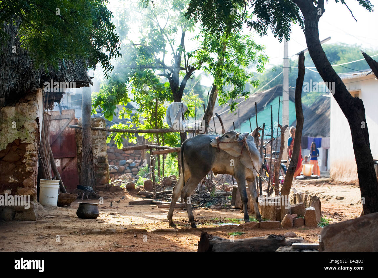 Indian village scene hi-res stock photography and images - Alamy