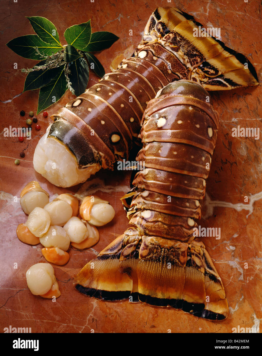 Spiny lobster tails and scallops Stock Photo - Alamy